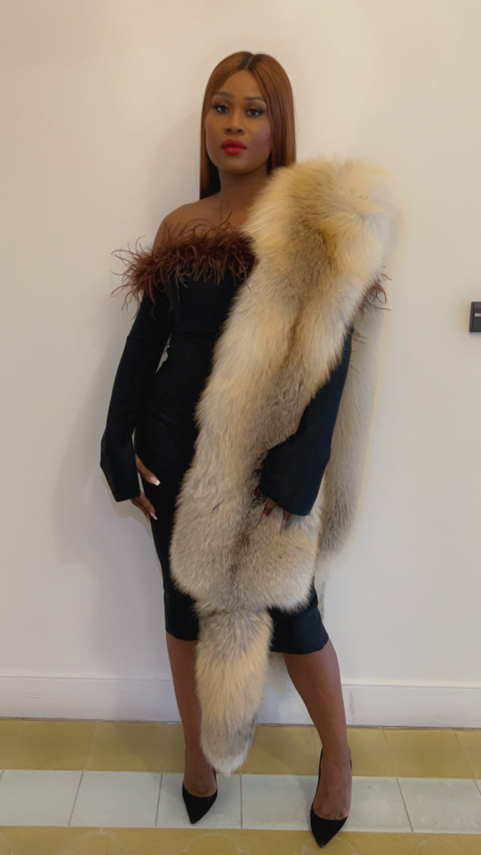 Inca Feather Dress – Silhouette